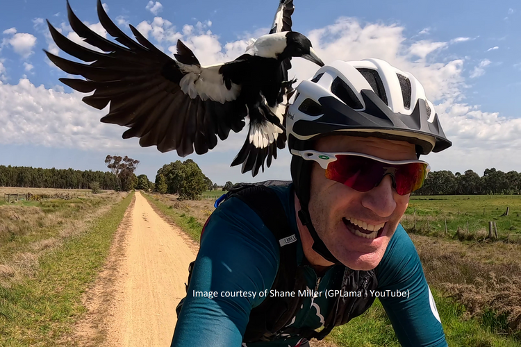 PieProof Cycle Helmets