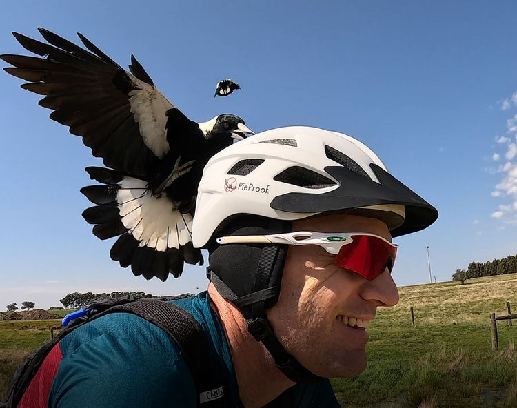 Find out how PieProof helmets keep you safe from Magpie attacks ...